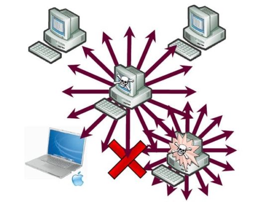 The History and the Evolution of Computer Viruses - Privacy PC