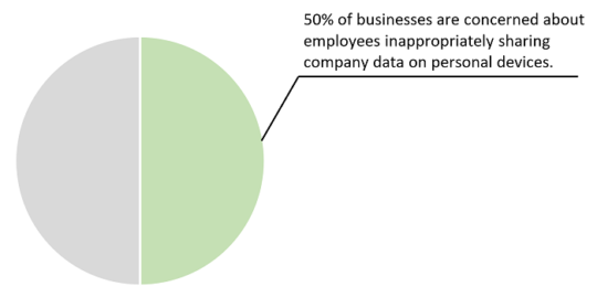 Work from Home Risks and Mitigation Measures - Privacy PC